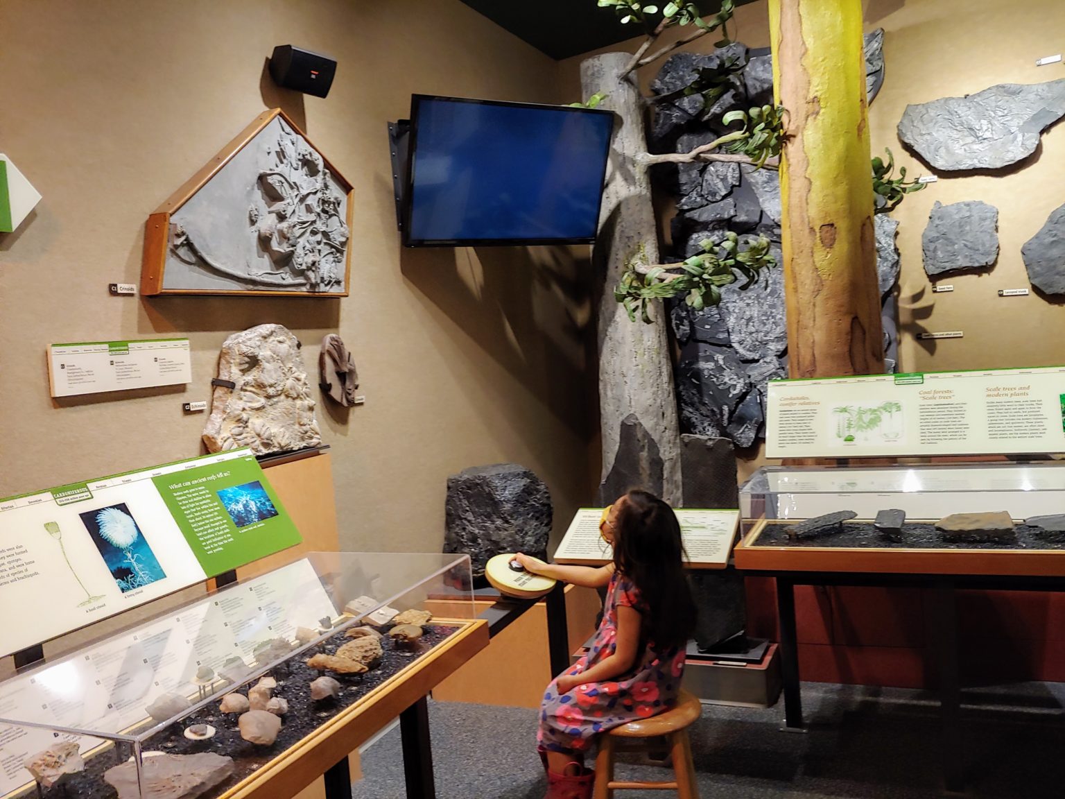 Traveling Back in Time at the Museum of the Earth, Ithaca, NY - Finger ...