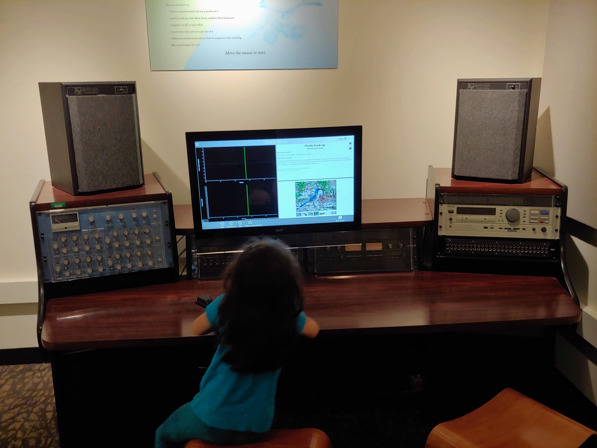 Exploring the World of Birds at the Cornell Lab of Ornithology - Finger ...